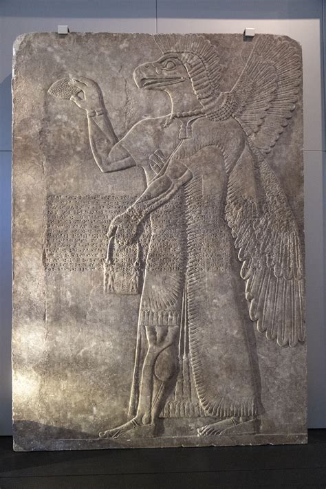 Oxford Ashmolean Museum Photos Neonbubble