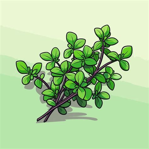 Um Desenho De Uma Planta Com Folhas Verdes E Um Fundo Verde Vetor
