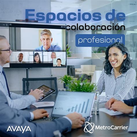 Alejandra Maciel Alvarez Posted On Linkedin