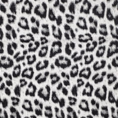 Snow Leopard Fur Texture