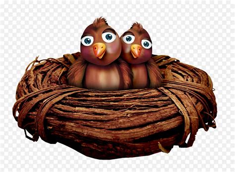 幼鸟png图片素材下载图片编号10164497 Png素材网