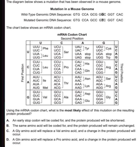 Solved The Diagram Below Shows A Mutation That Has Been Observed In A