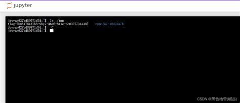 【漏洞复现 Jupyternotebook 命令执行】vulfocusjupyternotebook Cve20199644jupyter执行命令行 Csdn博客