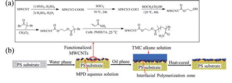 Figure 1 From Enhanced Separation And Antifouling Performance Of Reverse Osmosis Membrane