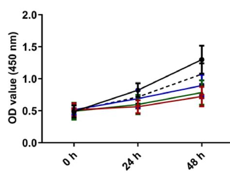 Triptolide Inhibited The Growth Ability Of Nasal Epithelial Cells