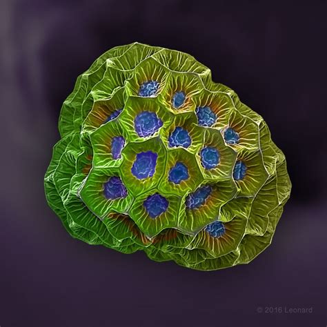 Andrew Paul Leonard On Linkedin Electronmicroscopy