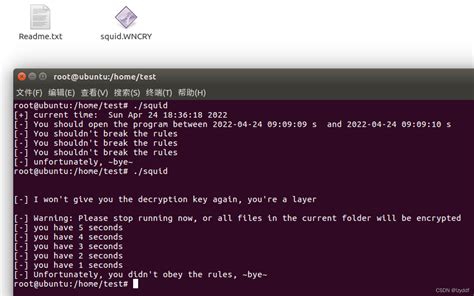 2022网刃杯ctf Reverse Squid Csdn博客