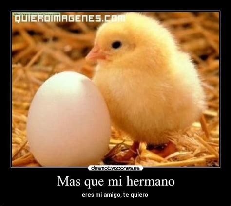 Mas Que Mi Hermano Desmotivaciones