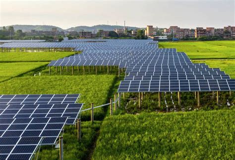 Agricultural Solar