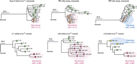 Tumor Sample Phylogenies Based On Mrs Data The Maximum Parsimony Method