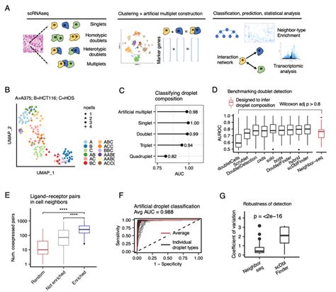 Benchmarking Cell Neighbor Detection And Annotation A A Schematic