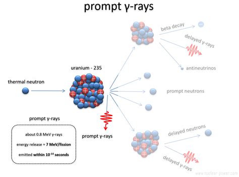 Prompt Gamma Rays Nuclear