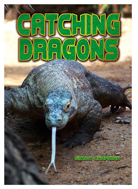 Catching Dragons Wow Facts English Edition Ebook Chapman Simon Amazon Fr Kindle Store