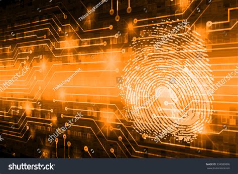 Magnifying Glass Scanning Identifying Computer Virus Stock Illustration 334089896 Shutterstock