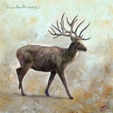 Eucladoceros The Majestic Extinct Deer