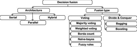 Decision Level Fusion Digital Twin