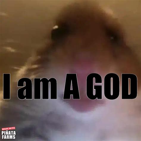 Hampter Memes Piñata Farms The Best Meme Generator And Meme Maker