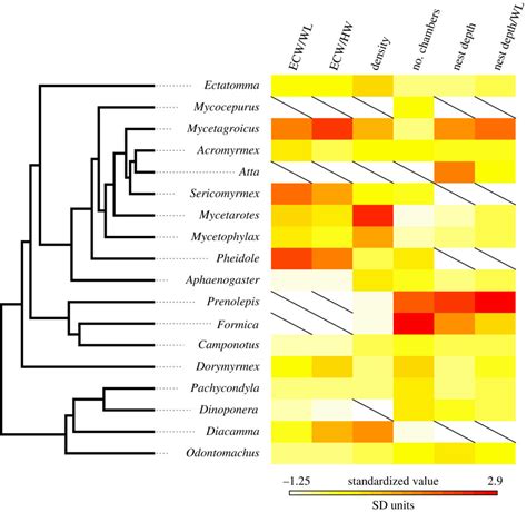 Ant Spiration Using Insect Behaviour To Rethink Transport Super