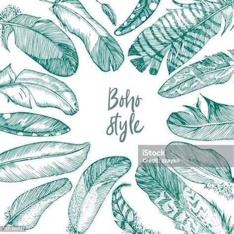 고립 된 배경에 새 깃털의 현실적인 스케치 정사각형 배너 상세한 잉크 라인 펜 클립 아트 흑백 보호 클립 아트 손으로 그린 조각 스타일 깃털 빈티지 벡터 가축우리에 대한