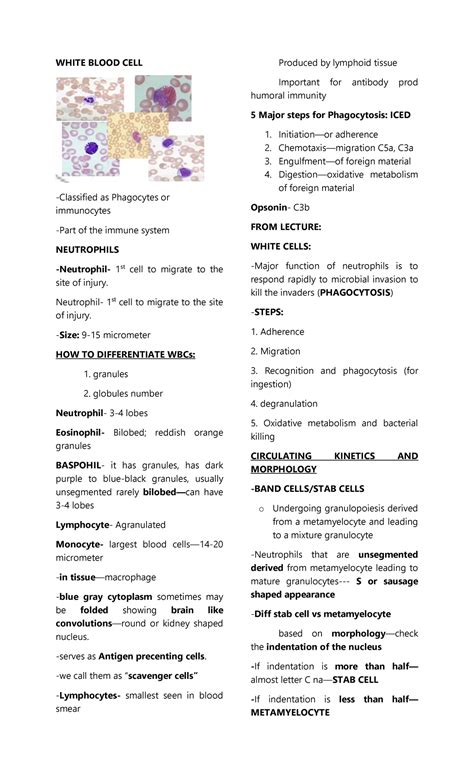 Wbc Abnormalities Hematology Wbc White Blood Cell Classified As