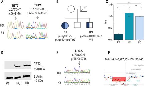 Molecular Diagnosis Of P1 And P2 A Sanger Sequencing Of Tet2