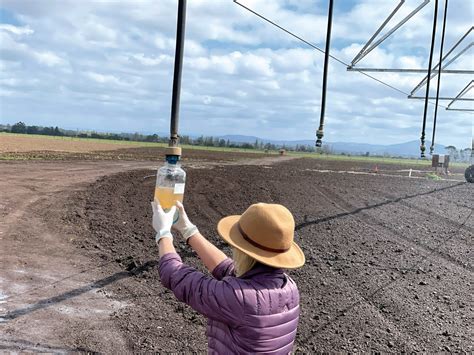 Tracking And Cutting Down Microbial Contamination In Leafy Vegetables Ausveg