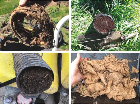 Plugged Up Roots In Tile Drainage ContractorDrainage Contractor