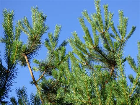 Richtig Erden Paulas Erkenntnisse Für Leichteres Leben