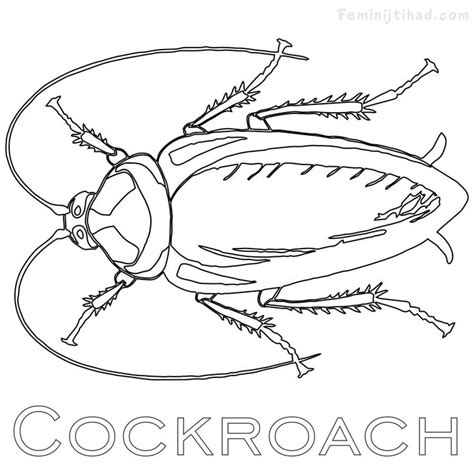 Free Roach Approach Coloring Pages 2025