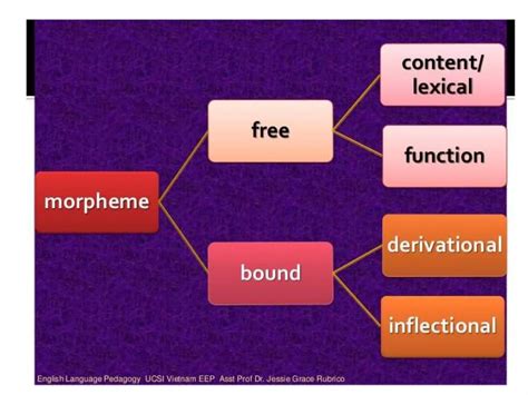 Morphology Ppt Free Download