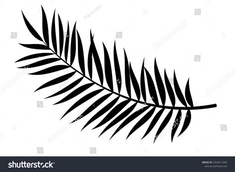 Palm Tree Leaves Vector Palm Leaf Stock Illustrations 388330 Palm