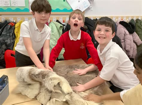 History Wynyard Primary School