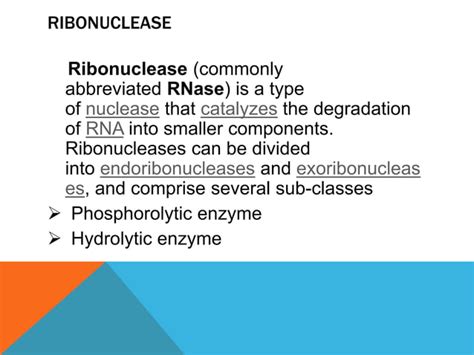 Nucleases Pptx