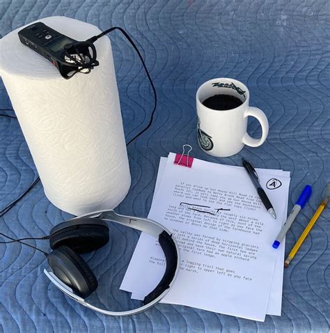 Mic Sounds Like A Tin Can With A Bit Of Bass Windows Audacity Forum