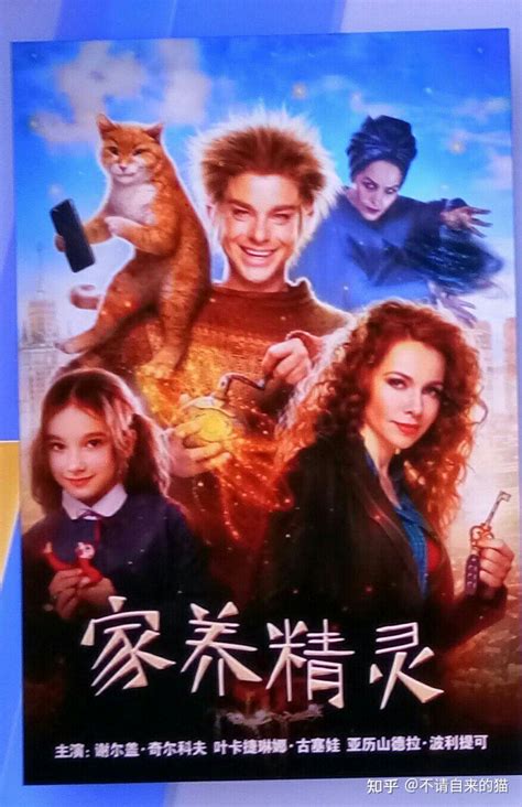 电影《家养精灵》俄罗斯 知乎