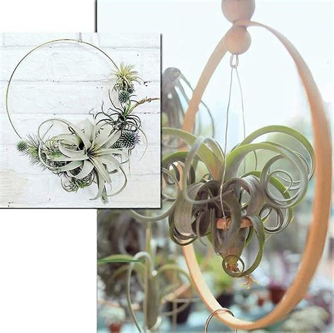 10 12 Pcs Bamboo Floral Hoop Wreath Wooden Hoop Wreath Ring Macrame