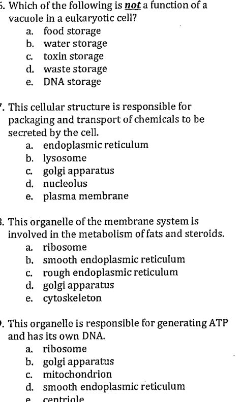 Vacuole Function