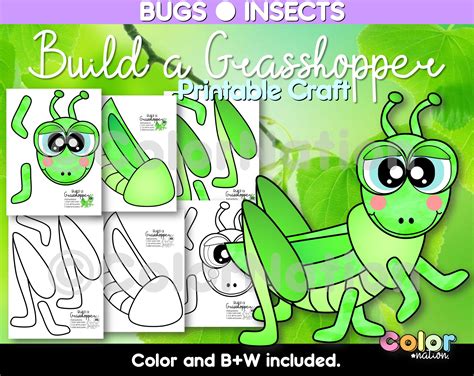 Build A Grasshopper Craft Bugs And Insects Activities Spring Crafts Etsy