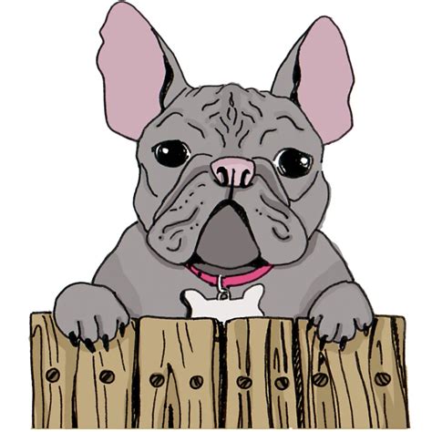 Buenos Y Malos Vecinos En Vacaciones Infobae