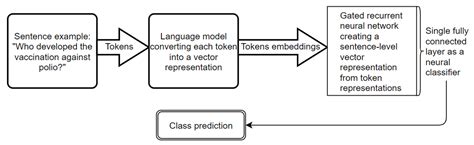 Levels Of Classification Sentence At Frank Hansen Blog