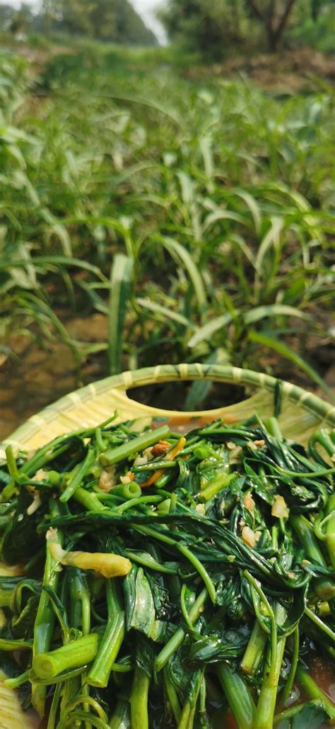 Waru Chulkul ว่าจะปลูกเล่นๆ แต่กินไม่หมดจริงๆ