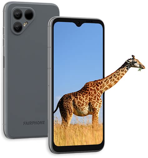 Section12 皇鋒通訊palcom