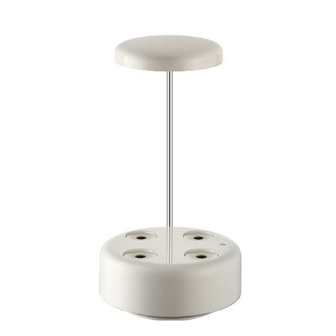 웰스 웰스팜 플라워 추천패키지