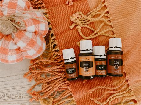 All Of The Cozy Fall Diffuser Blend Seasons Of Light