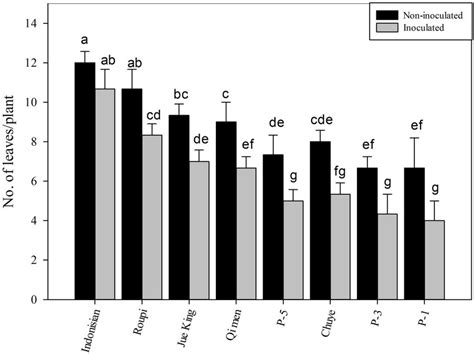 Interaction Effect Of Pathogen Inoculation And Varieties On Number