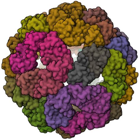 Rcsb Pdb 8f54 Top Down Design Of Protein Architectures With Reinforcement Learning