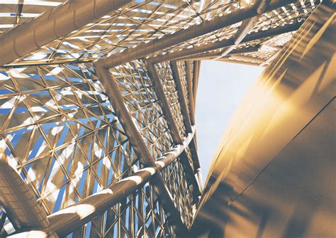 Morphogenesis Of Sacral Space