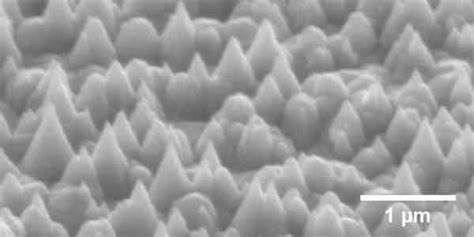 Glass Defects • Window Cleaning Phoenix