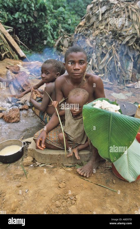 A Pygmy Camp In The Rainforest With Typical Leaf Shelters Republic Of