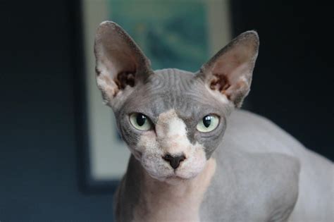 Mx Cinders Came In Ryeezys